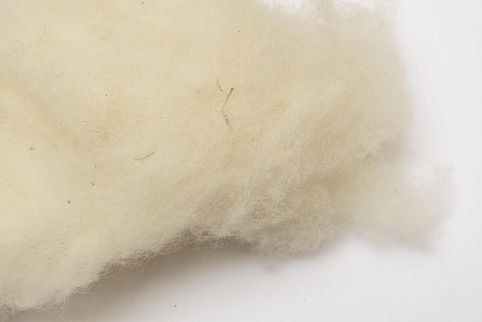 The Davy Textiles Ltd | What we've done