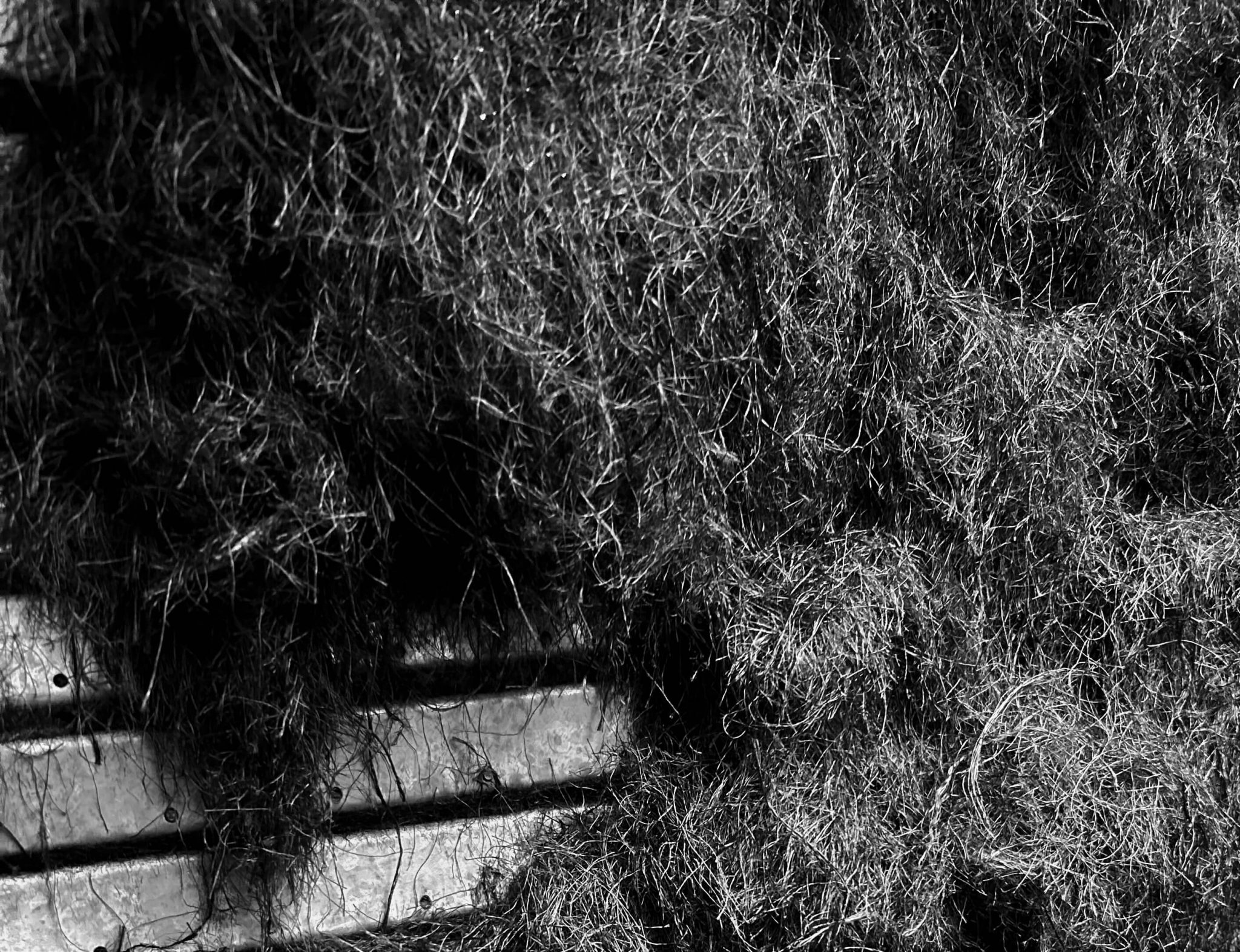 Closing the Loop - Davy Textiles