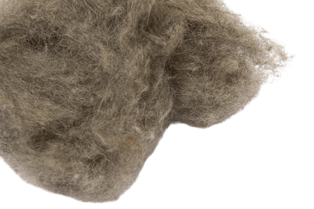 - Davy Textiles
